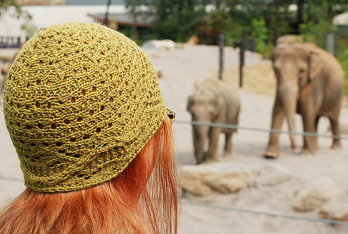 Ravelry: Zoo Adventure Smooth Hat pattern by Lee Meredith