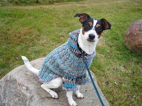 Ravelry: 102-41 Tweedle Dee pattern by DROPS design