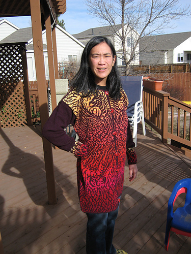 Ravelry: Phoenix Cardigan pattern by Meg Swansen