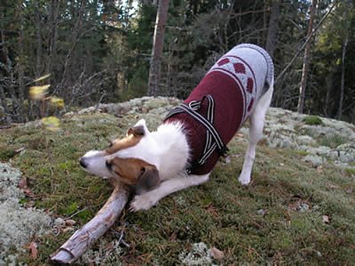 Ravelry: Koiran Jussi-paita pattern by Katri Vesikko