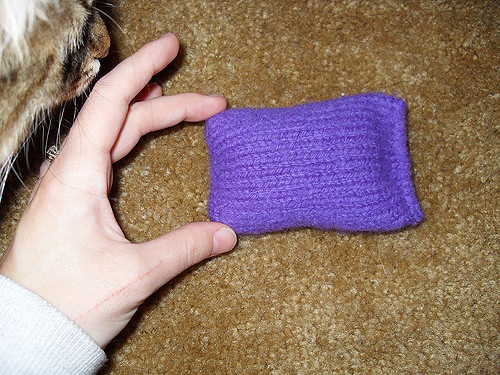 Ravelry: Felted Catnip Bag pattern by Karen Canapa