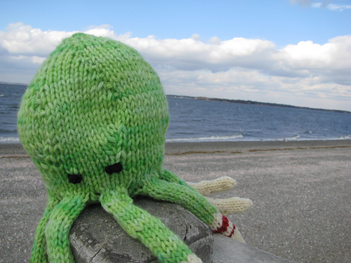 Ravelry: mollyjade's Socktopus