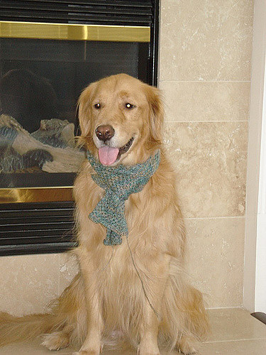 Ravelry: The Gift Of Friendship Scarf pattern by Christine McKnight