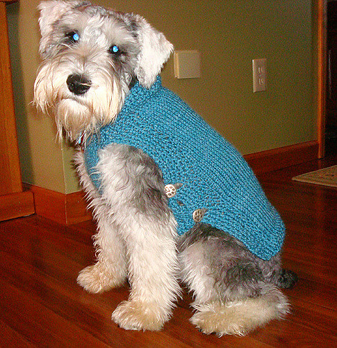 Ravelry: Francesca / Sharkey pattern by Lion Brand Yarn