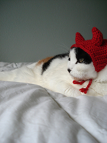 Ravelry: Devil Costume Pet Cat Dog Hat Headband pattern by Lindsay Smith