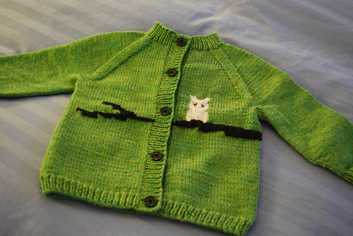 Ravelry: Snowy Owl Cardigan pattern by Elizabeth Suarez