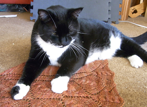Ravelry: Bryce Canyon Shawl pattern by verybusymonkey