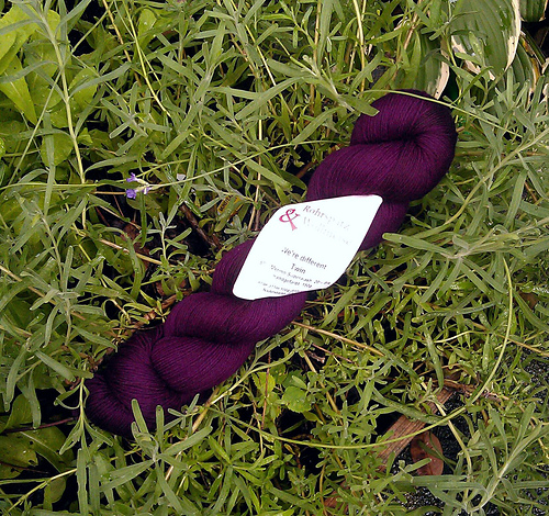 Ravelry: figpox's Brimstone and Primroses