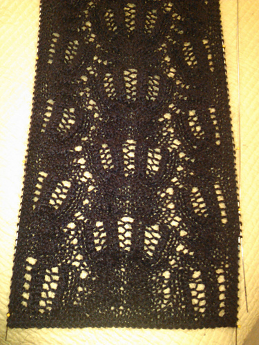 Ravelry: Frost Flowers Lace Scarf pattern by Deborah Kizziar