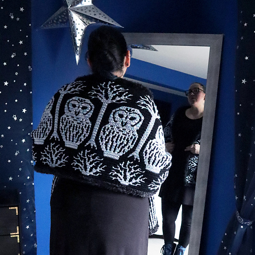 Ravelry: Night Owls pattern by Alexis Sixel