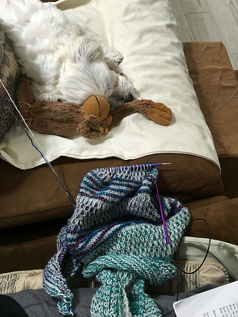 Ravelry: Aetara's Georgiabelle