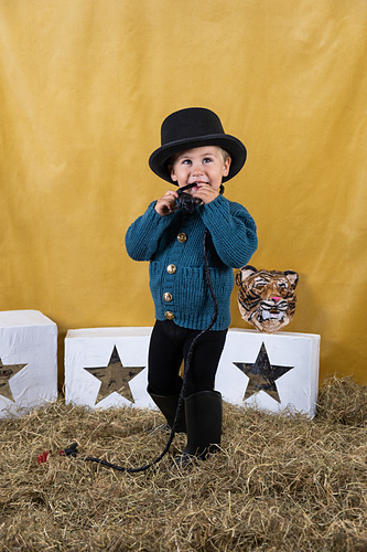 Ravelry: Mr Loyal pattern by Alice Hammer