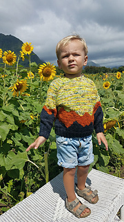 Ravelry: Simple Wave Sweater pattern by Alice Alishka