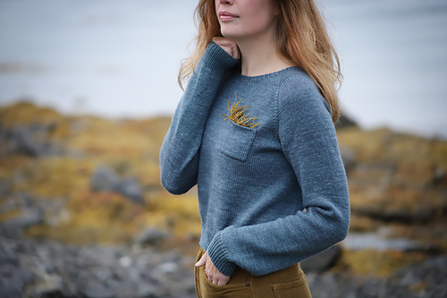 Ravelry: Tucker pattern by Alicia Plummer