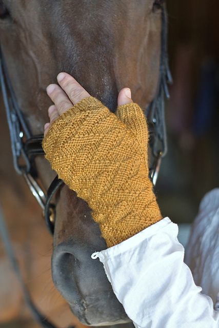 Ravelry: Thoroughbred pattern by Alicia Plummer