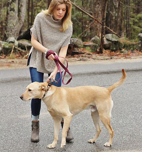 Ravelry: Light Gale pattern by Alicia Plummer