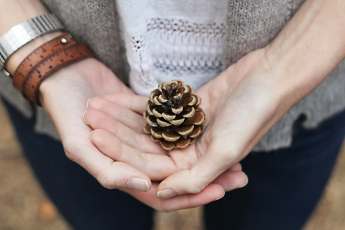 Ravelry: Solivagant pattern by Alicia Plummer