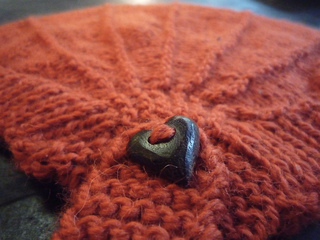 Ravelry: Alien's Orange aviatrix