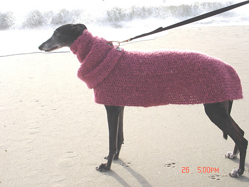 Ravelry: Greyhound Snood pattern by Lenora Conlon