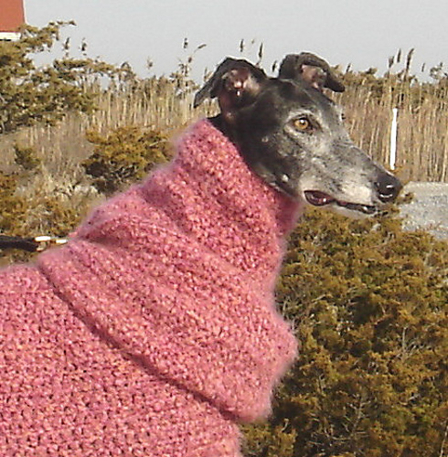 Ravelry: Greyhound Snood pattern by Lenora Conlon