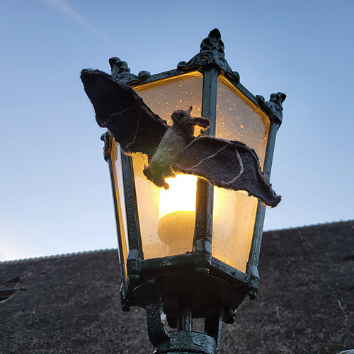 Ravelry: Vesper bat pattern by Viv's Knits