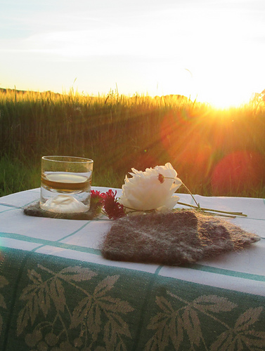 Ravelry: Ole Dole Doff Coasters pattern by Anita Grahn