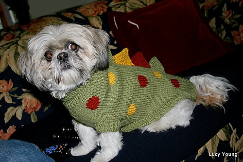 Ravelry: Dogosaurus Rex pattern by Patons