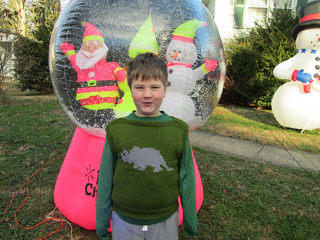 Ravelry: Dinosaurs Knit Vest pattern by Barbara B. Rondeau