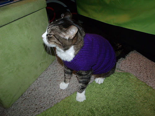 Ravelry: Ultimate Cat Jumper pattern by Mandy Cilento