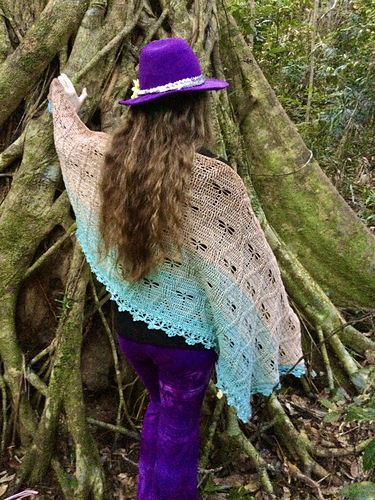 Ravelry: Rainforest Dragonflies Shawl pattern by Sue Stapleton