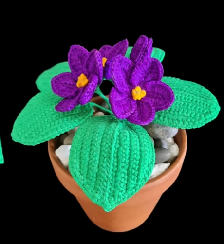Ravelry: Crochet African Violets pattern by T Jaik