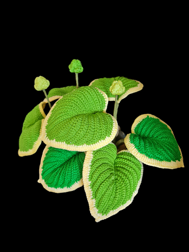 Ravelry: Crochet Hosta plant pattern by T Jaik