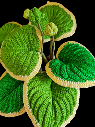 Ravelry: Crochet Hosta plant pattern by T Jaik