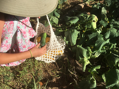 Ravelry: Garden Harvest Bag pattern by Carissa Clark