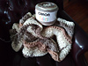 Ravelry: Hugs and Kisses Anniversary Throw pattern by Candi Thomas