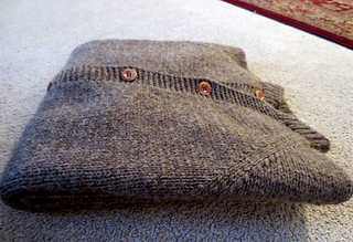 Ravelry: dorteknits' Professor's Cardigan