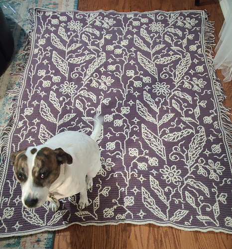 Ravelry: Flower creepers pattern by Svetlana Rogatykh