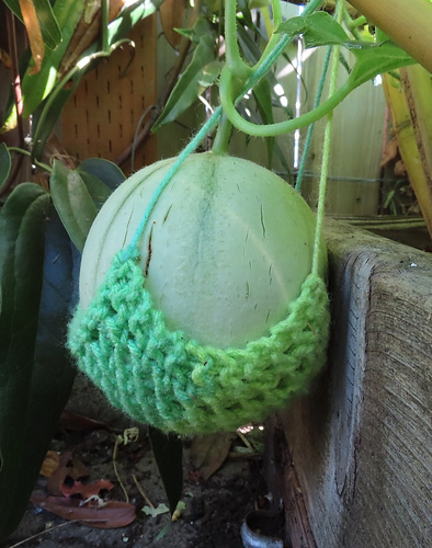 Ravelry: Melon Bra pattern by Rich Hoyer