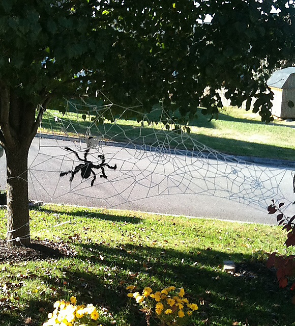 Ravelry: Bluebird99's Giant outdoor spiderweb