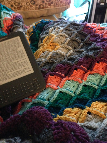 Ravelry: BopbiesGirl's My Own Wool Eater Blanket