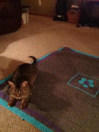 Ravelry: A Baby Blanket for Eden Aloni pattern by Merry Elizabeth Porter