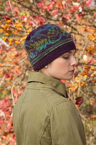 Ravelry: Grapevine Hat pattern by Amy Loberg (FiberWild!)