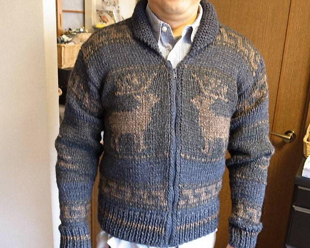 Ravelry: #02. Cowichan sweater pattern by Yoko Hatta (風工房)
