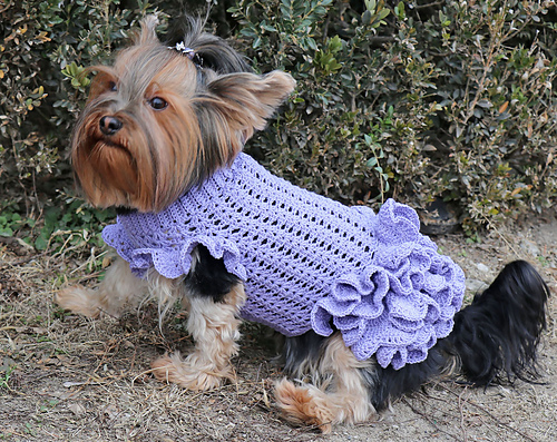 Ravelry: Crochet Small Dog Dress pattern by Kseniia Semeliak