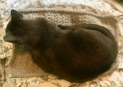 Ravelry: Easy Cat Comfort Mat pattern by Pam Carr