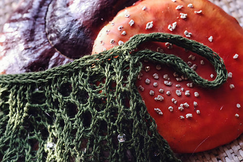 Ravelry: Forager/Lights in the Forest pattern by raena ballantyne demaris