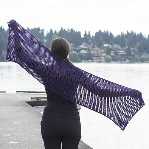 Ravelry: Bird's Eye Lace Wrap pattern by Shannon Dunbabin