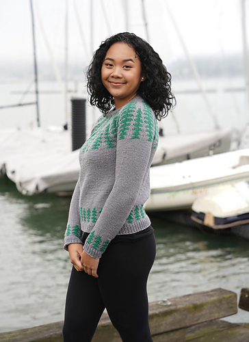 Ravelry: Fern Canyon pattern by Cheryl Beckerich