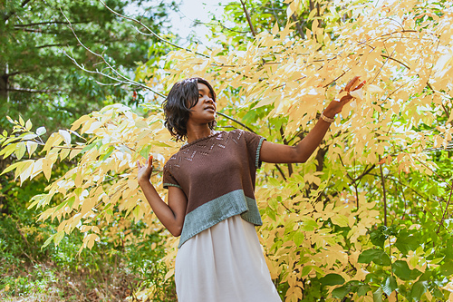 Ravelry: Wildlane Top pattern by Catherine Li-Abrams