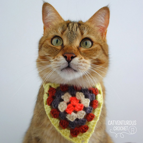 Ravelry: 70s Retro Crochet Cat Bandana pattern by Charlotte Aimee
